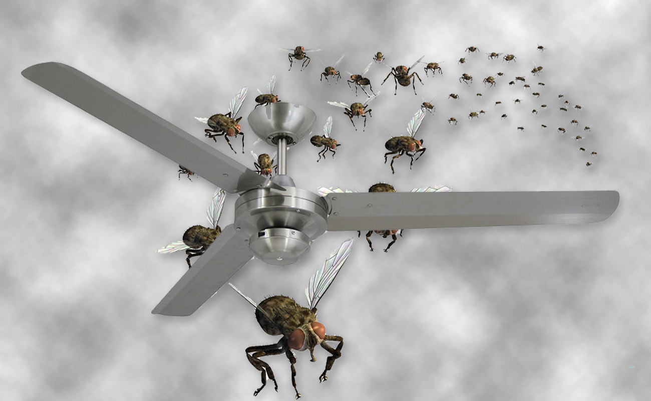 Flies & Mosquitoes vs. Ceiling Fans